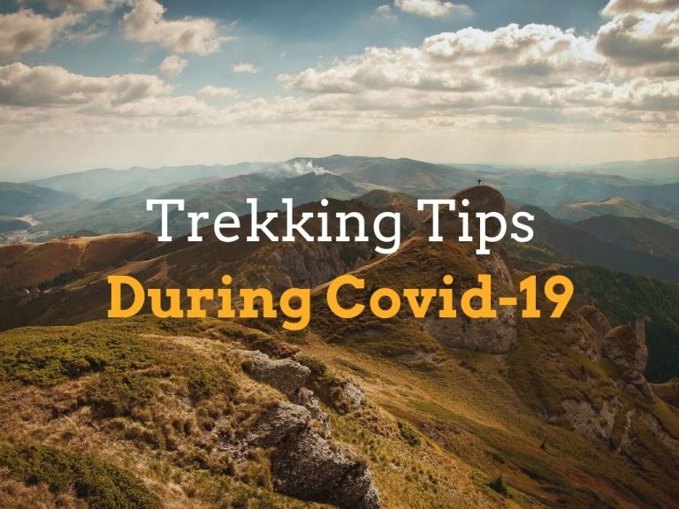 Best Trekking Shoes Under ₹3,000 in India (2025) | Hiking Shoes
