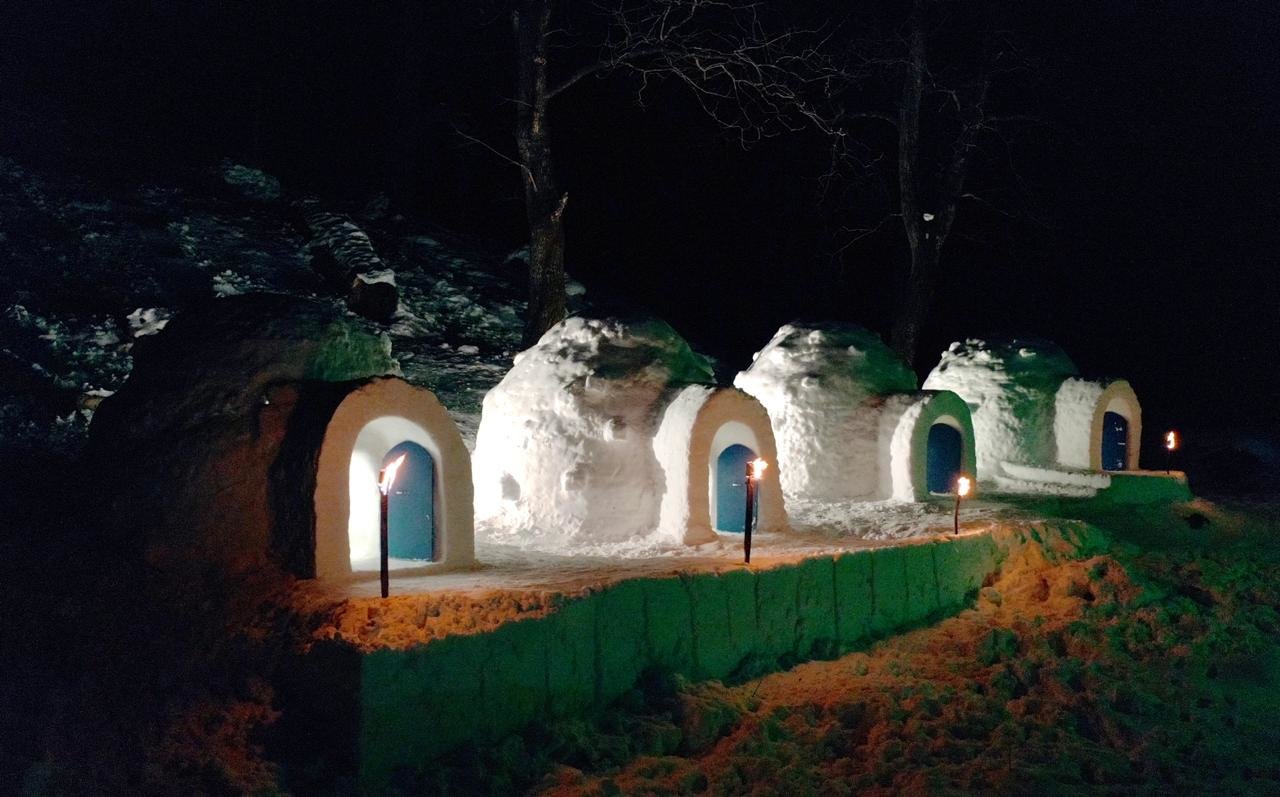 igloo hotel manali